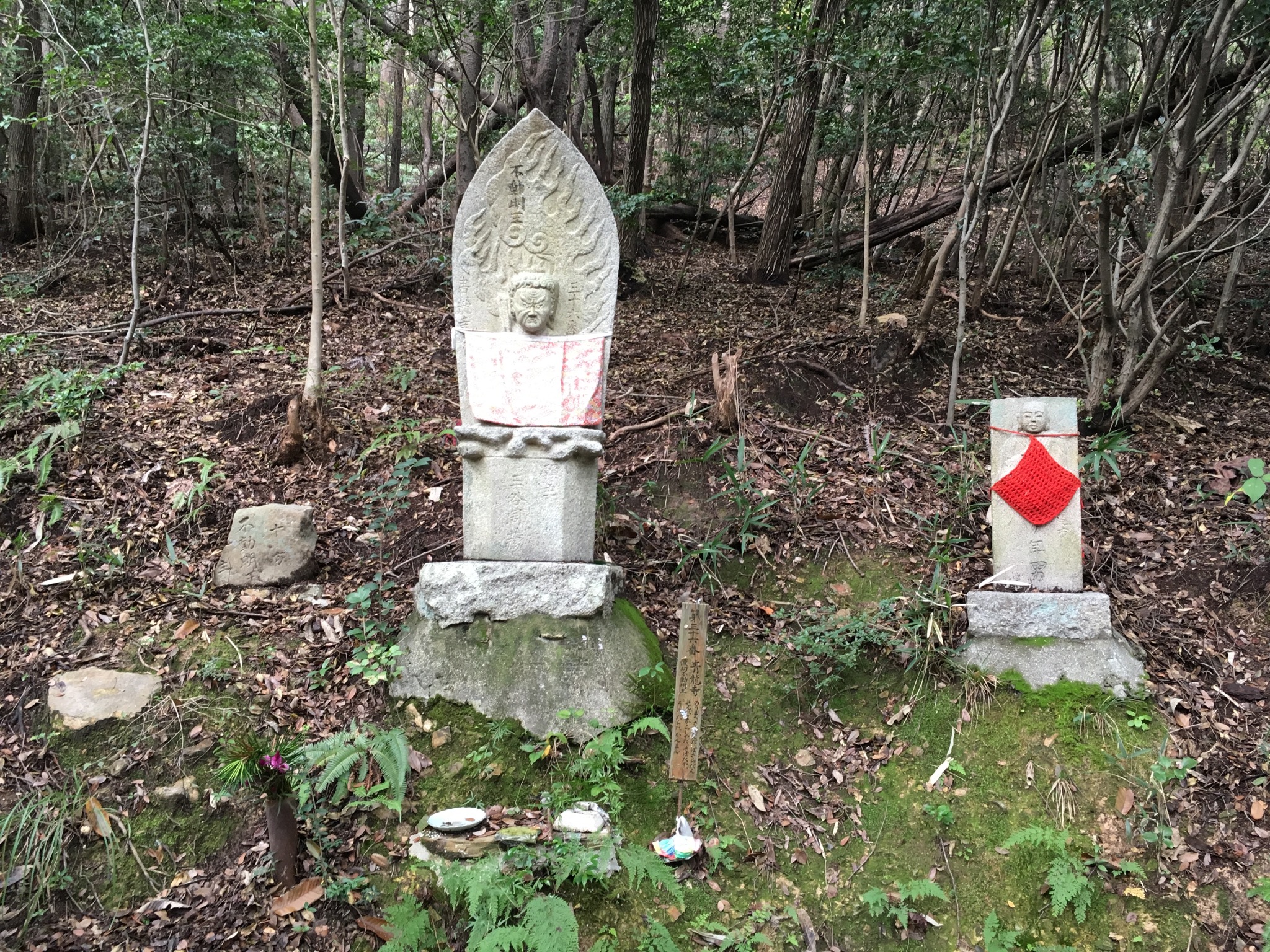 The power of the five elements | Elemental Japan