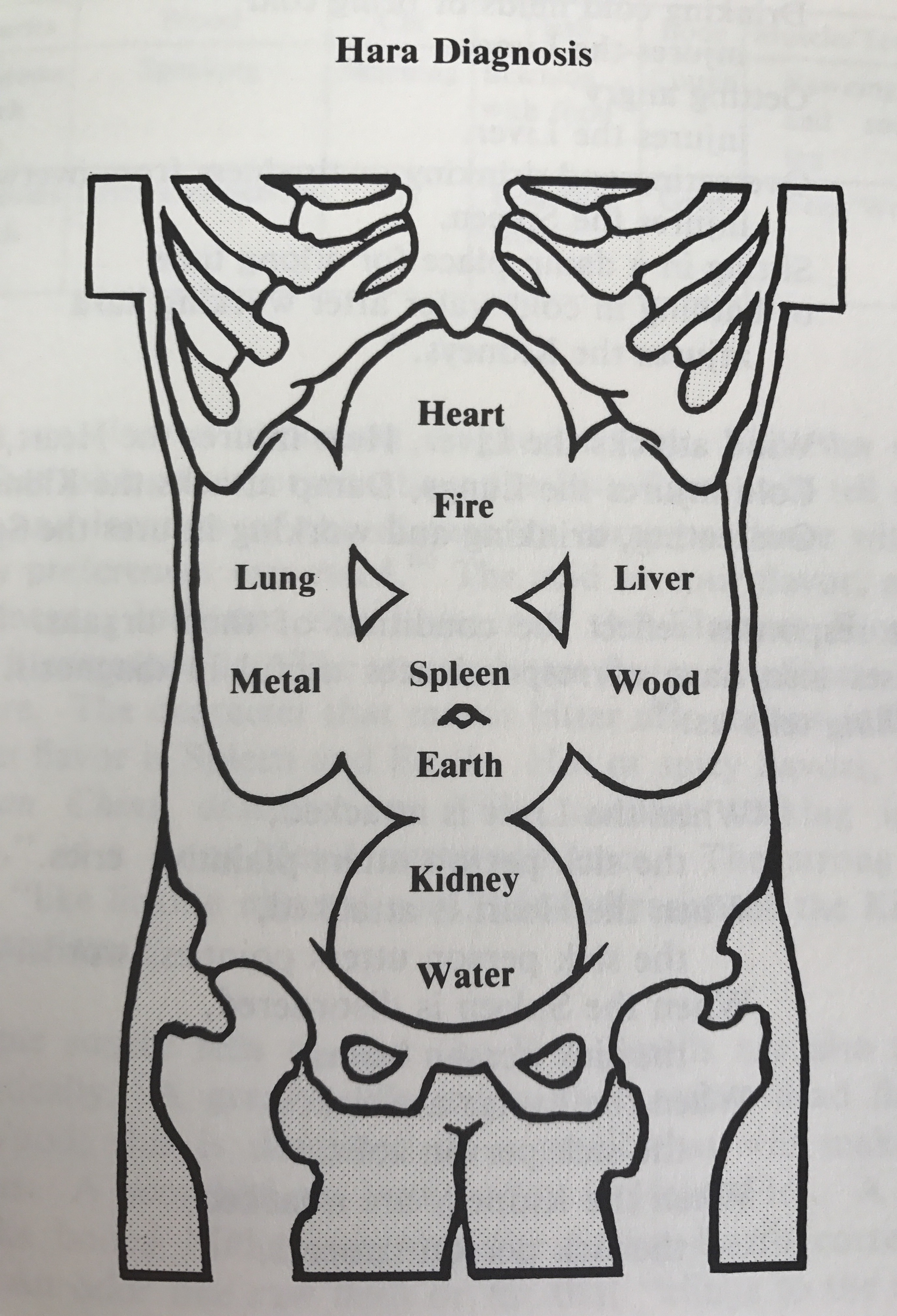 Kampo, the elements of traditional Japanese medicine | Elemental Japan