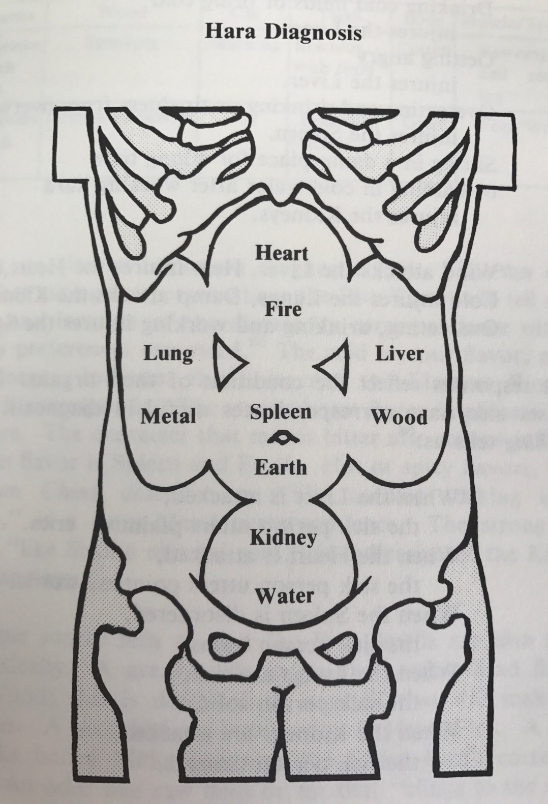 Kampo, the elements of traditional Japanese medicine | Elemental Japan