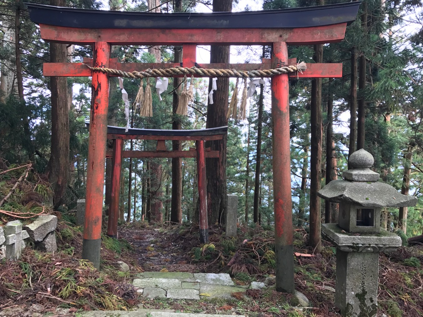 Mt Atago, Kyoto: exploring the energy of a sacred mountain | Elemental ...