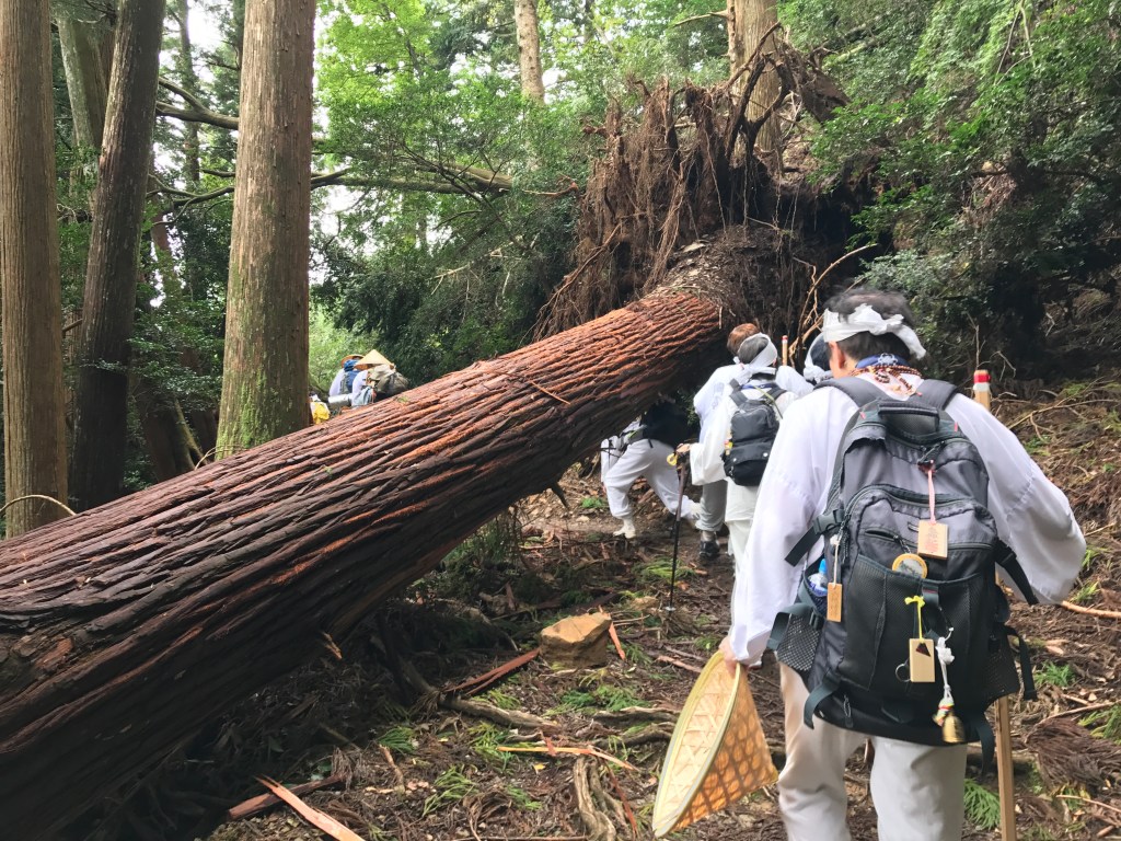 Mt Atago, Kyoto: exploring the energy of a sacred mountain | Elemental ...