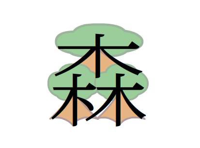 Yakushima and Yuko-san: celebrating the forests born from drops of ...