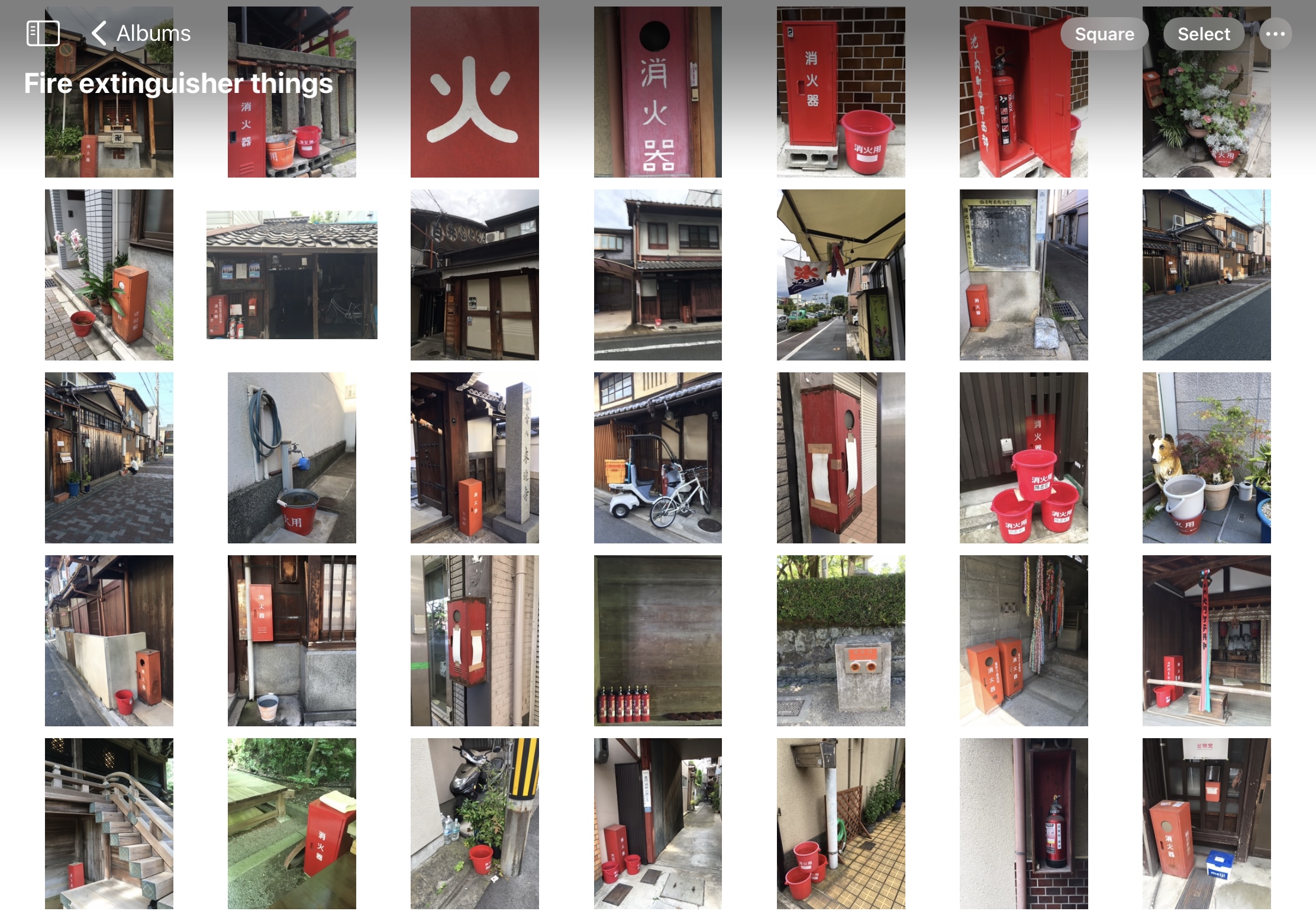 Feel the energy: five years exploring the (five) elements in Japan ...