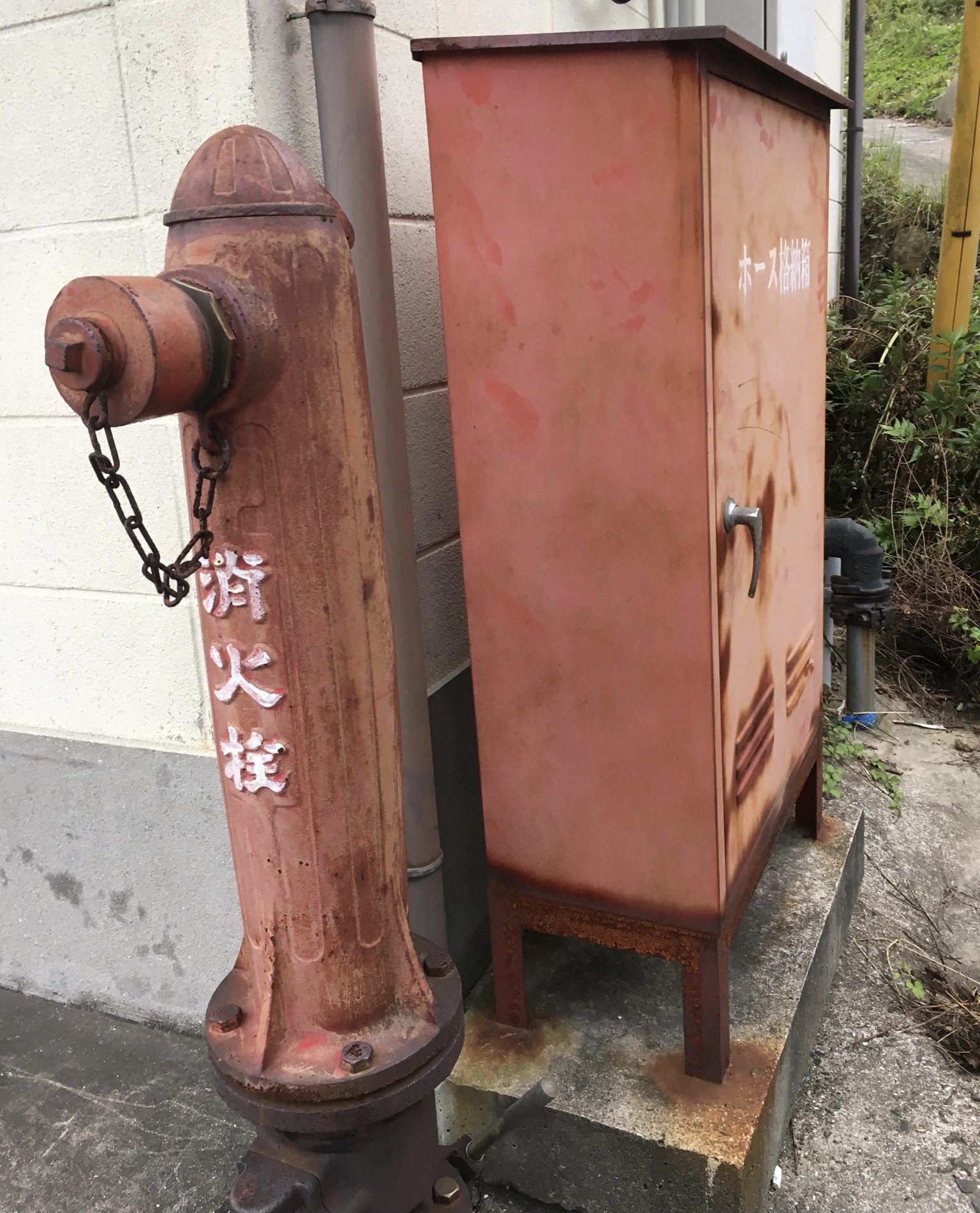 Feel the energy: five years exploring the (five) elements in Japan ...